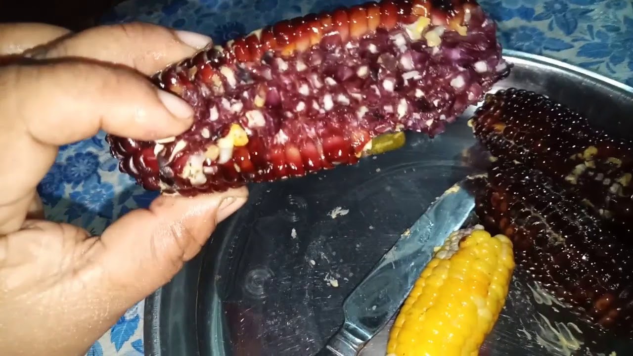 Wow! Tasty Red SweetCorn In The Garden - YouTube