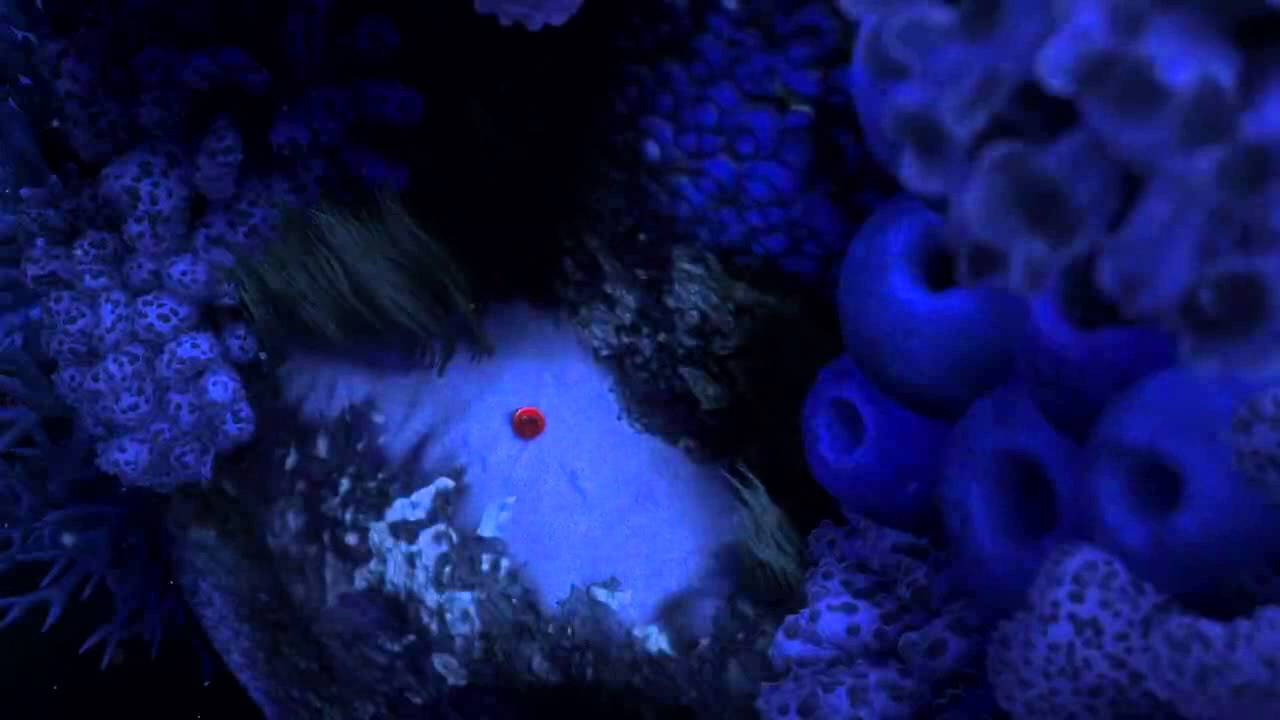 Finding Nemo : Action Edition | Unofficial Trailer - YouTube