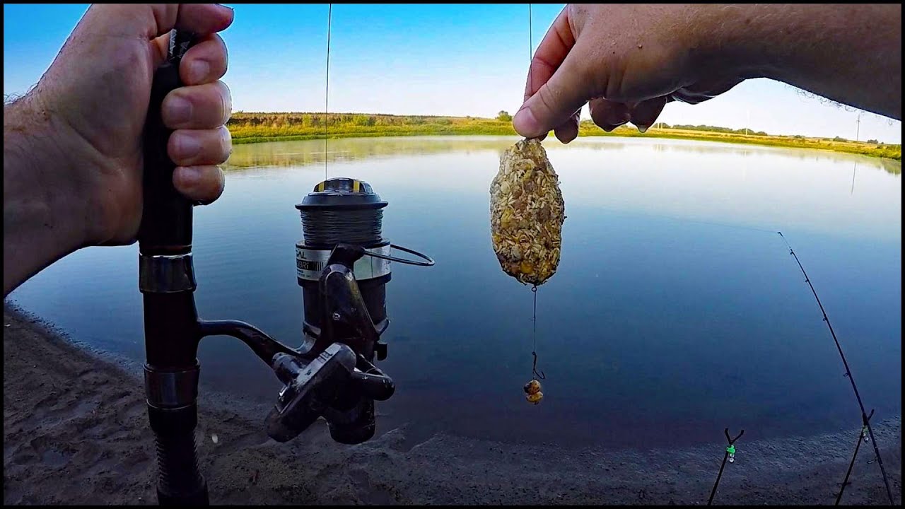 REALISTIC Carp Fishing with Spicy Apple Bait (Sand Pit Fishing) - YouTube