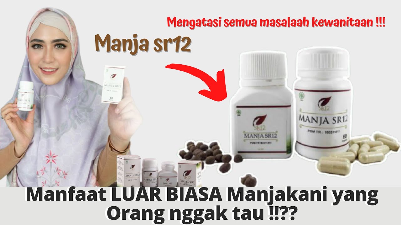 Manfaat Manjakani SR12, Bisa Untuk PROMIL - YouTube