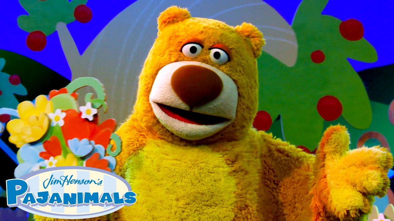 The Nighttime Friendly Forest! | Pajanimals - YouTube