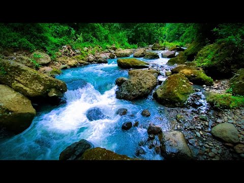 Instant sleep with sound mountain streams Relaxing River Sounds gently flowing water for deep ...