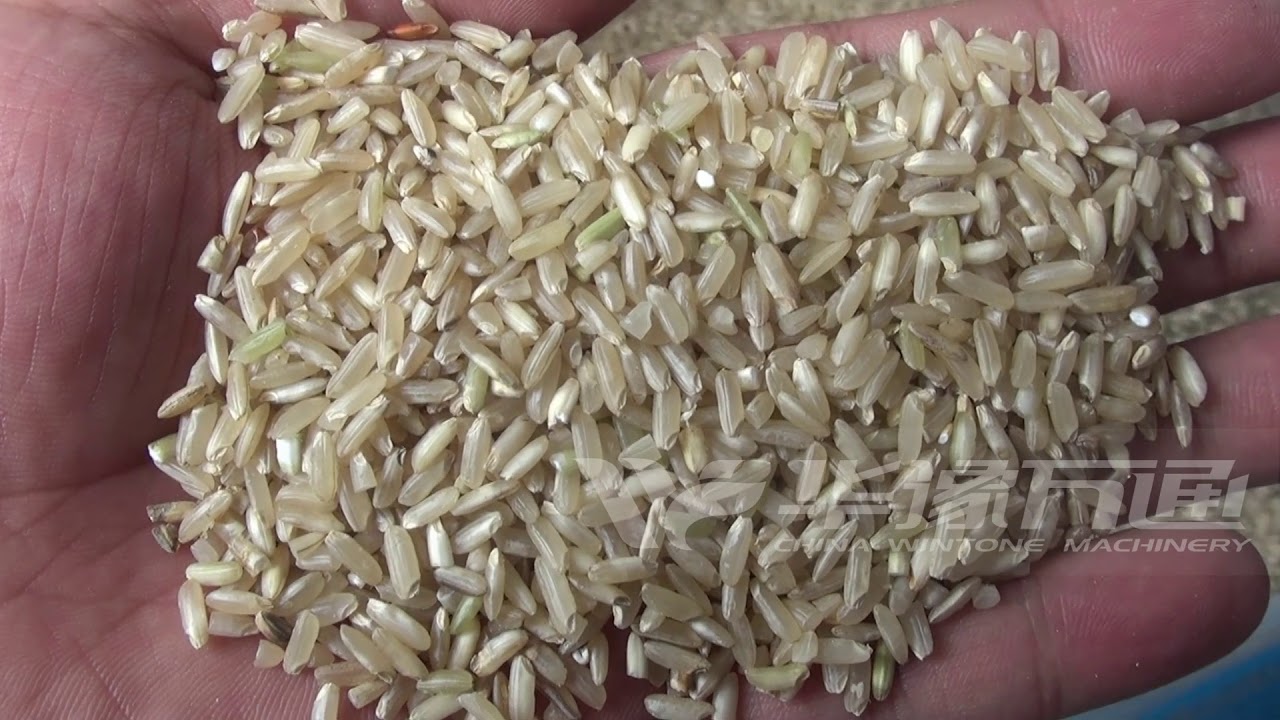 Brown Rice Huller Testing Video - YouTube