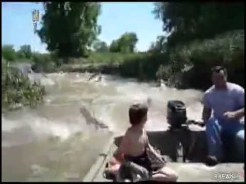 Sudan çok balık var