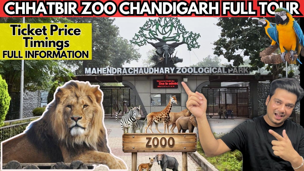 Chhatbir Zoo in Chandigarh | Mahendra Zoological Park | Chhatbir Zoo ...