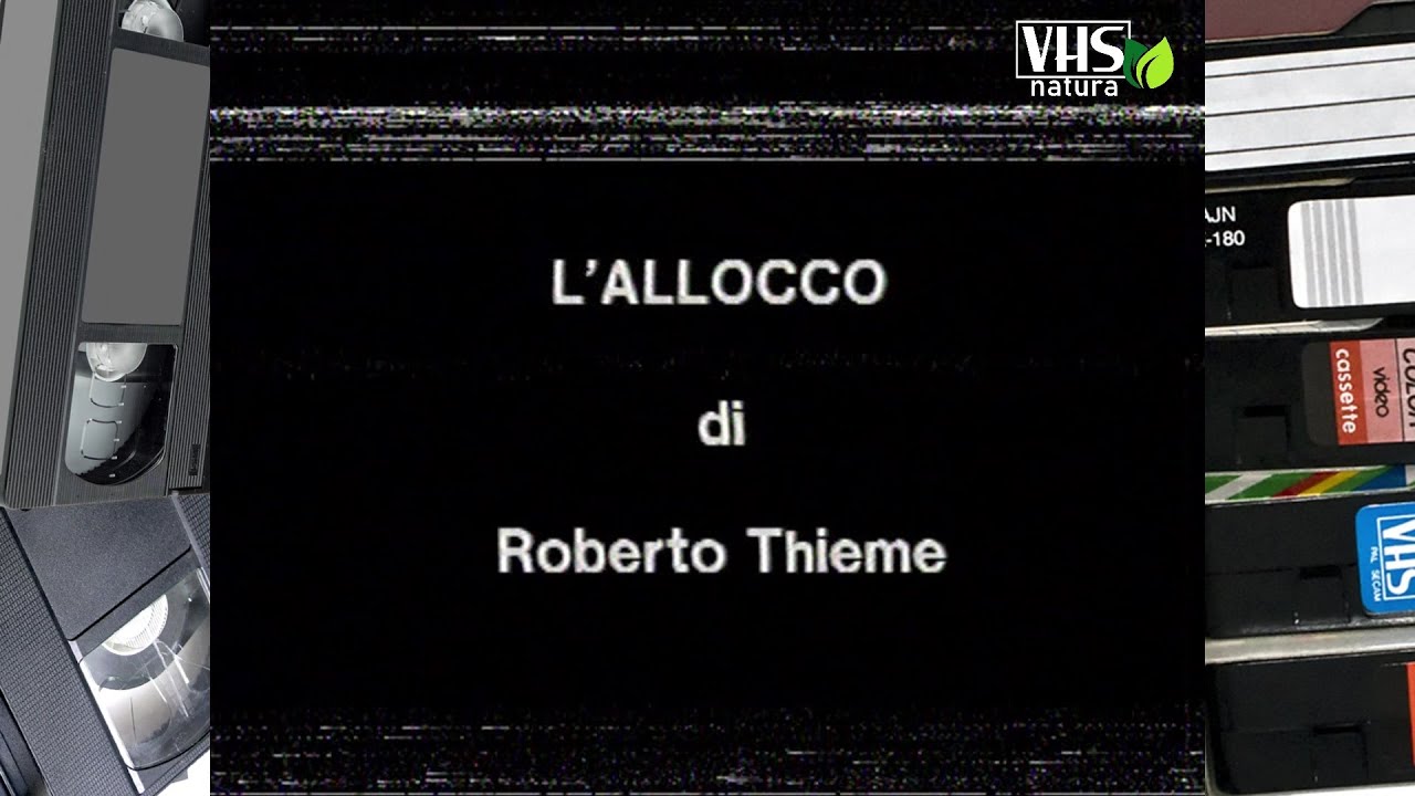 L'ALLOCCO - YouTube