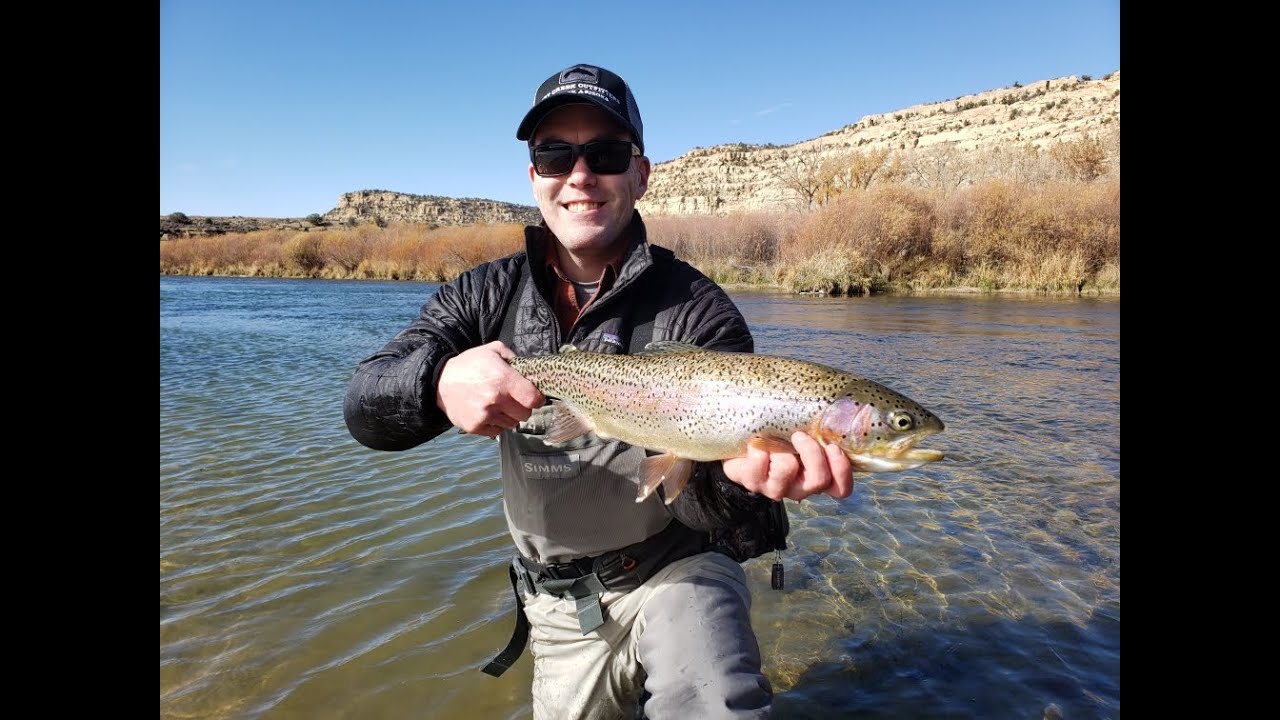 San Juan River Big Trout using dry and nymph fly Andy Kim Clients - YouTube