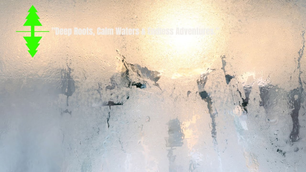 Camping in the Ice Cold Rain - YouTube