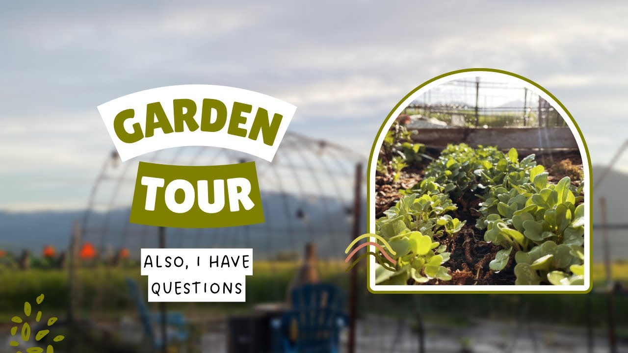 I HAVE QUESTIONS… | garden tour - YouTube