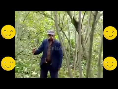 Giresun'lu Gocamanların Kavgası