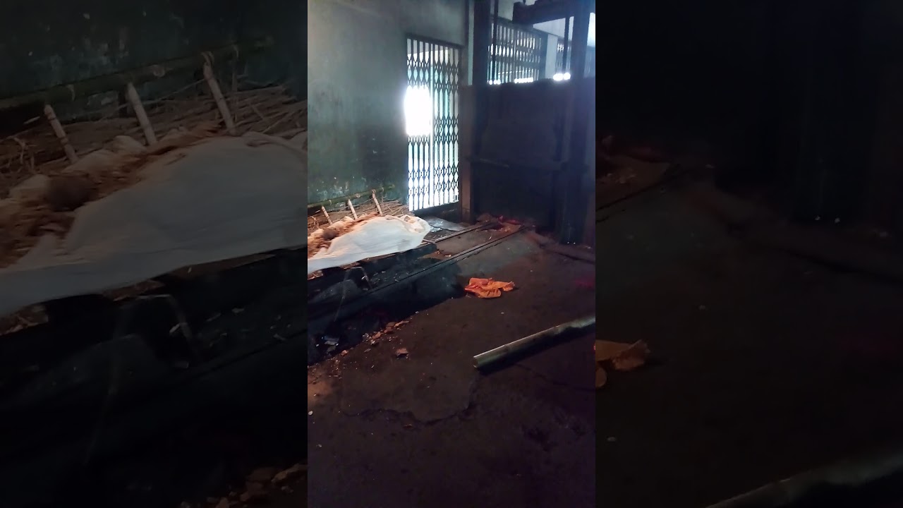 Patna. Electric dead body cremation. - YouTube