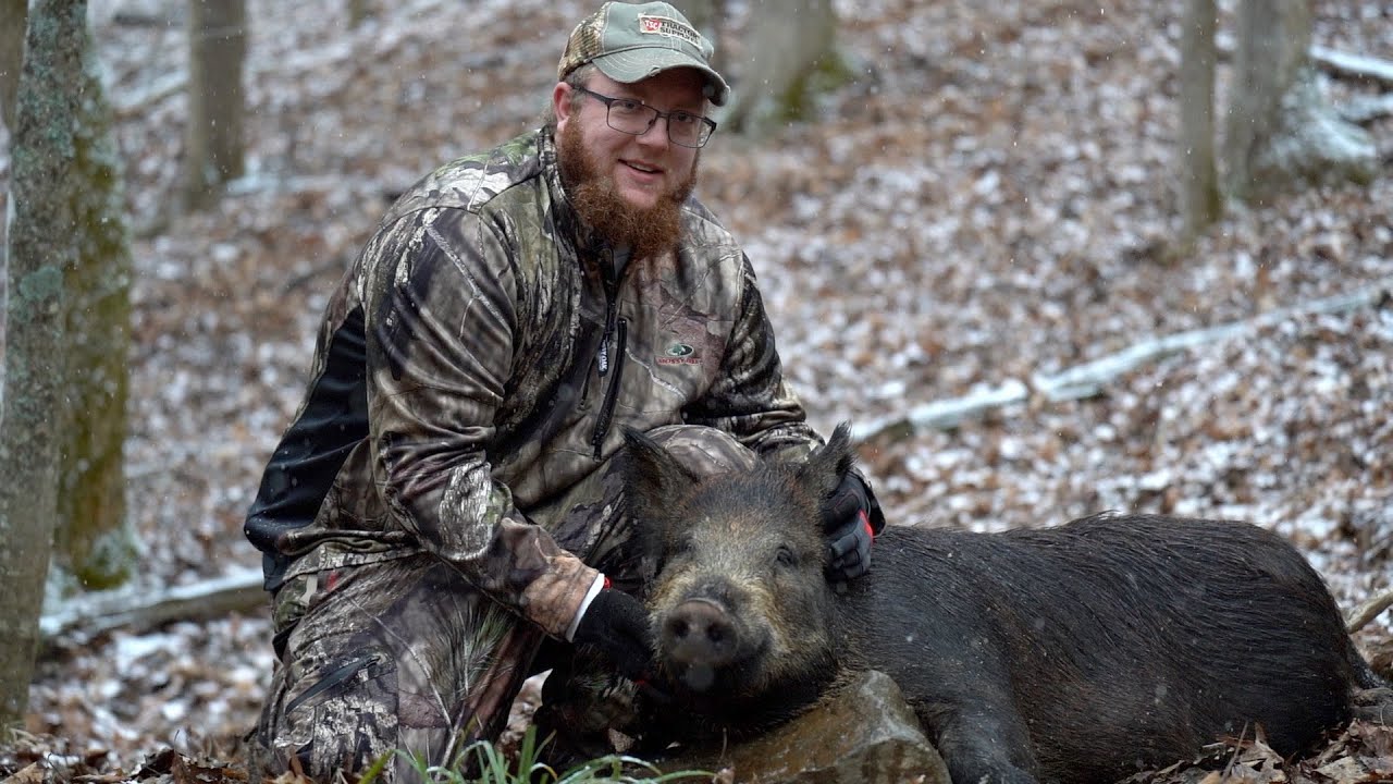 RUSSIAN BOAR HUNT IN THE SNOW - YouTube