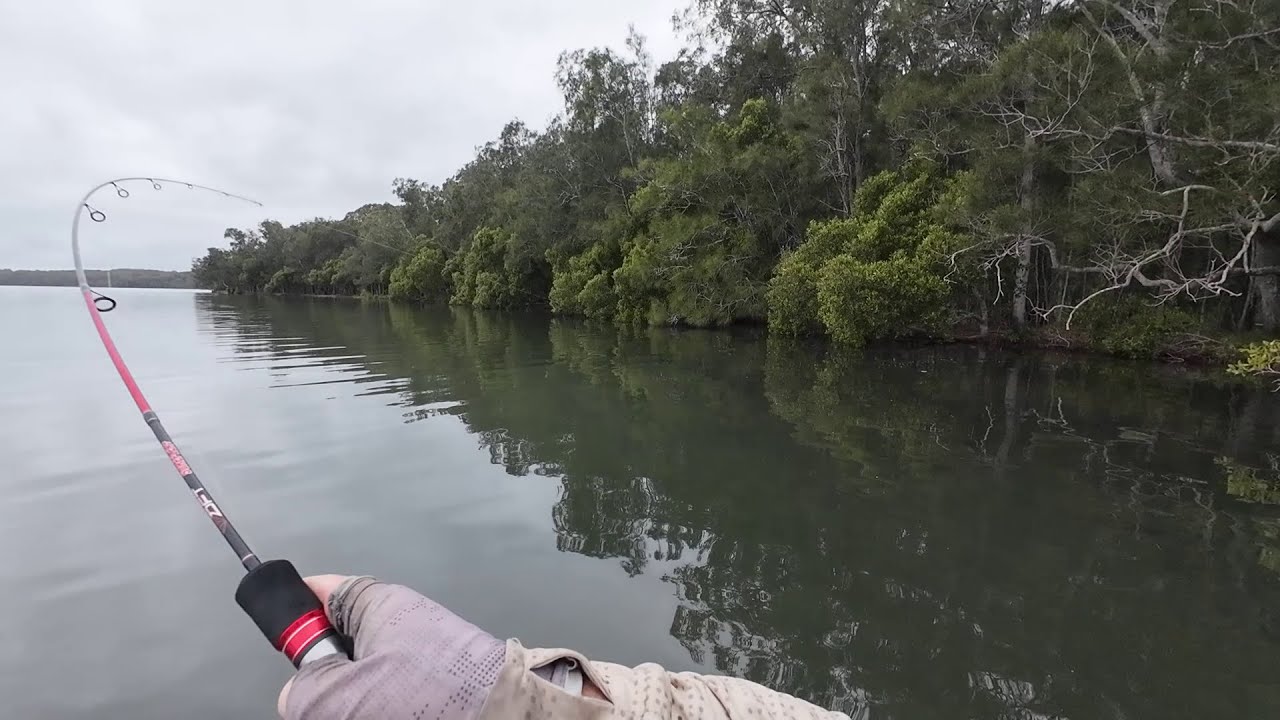 Nov 2024 Fish Edit - YouTube