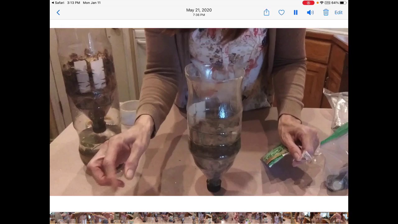 How to make an eco-column for fifth grade science - YouTube