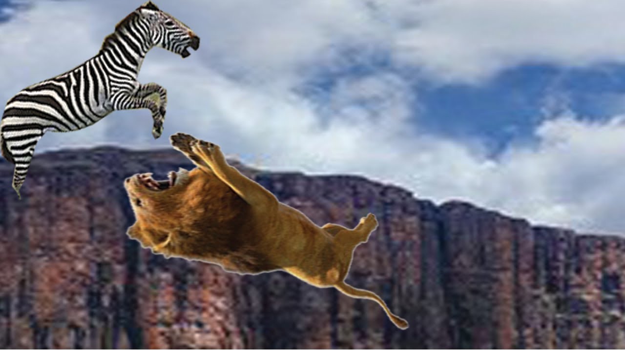 The times when prey escape from extremely/by F-W Animals - YouTube