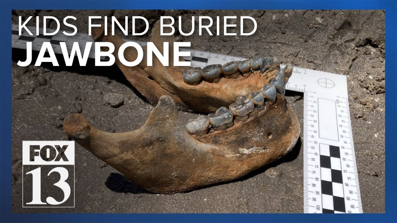 Human jawbone, teeth found buried in sand at Bear Lake - YouTube