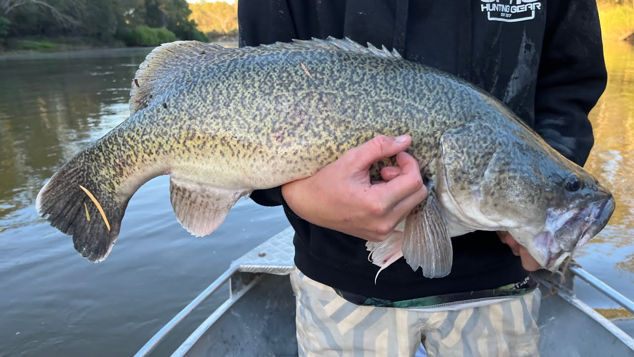 Barooga fishing( big cod caught)@chaserodda4867 - YouTube