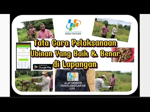 VIDEO TATA CARA MELAKUKAN UBINAN YANG BAIK DAN BENAR | BPS KAB. TELUK ...