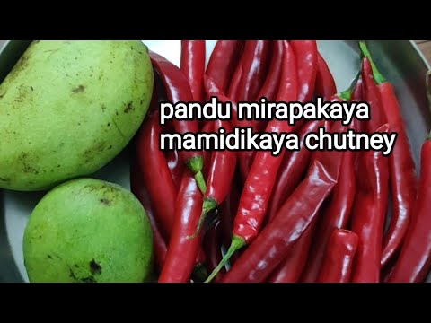 pandu mirchi mango chutney | పండు మిరపకాయ మామిడి కాయ పచ్చడి | instant ...