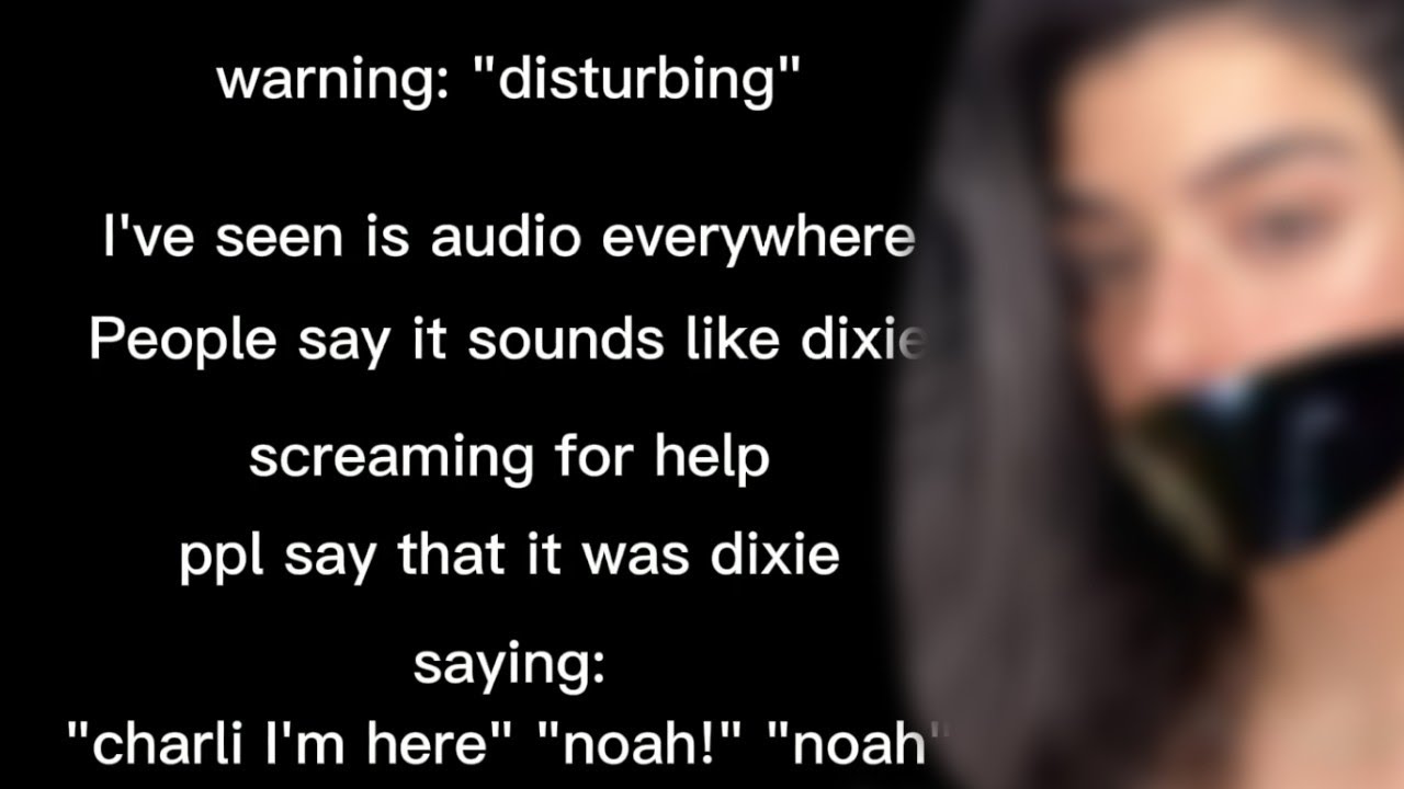 DIXIE D'AMELIO SCREAMING FOR HELP!!!? (is she okay?) - YouTube