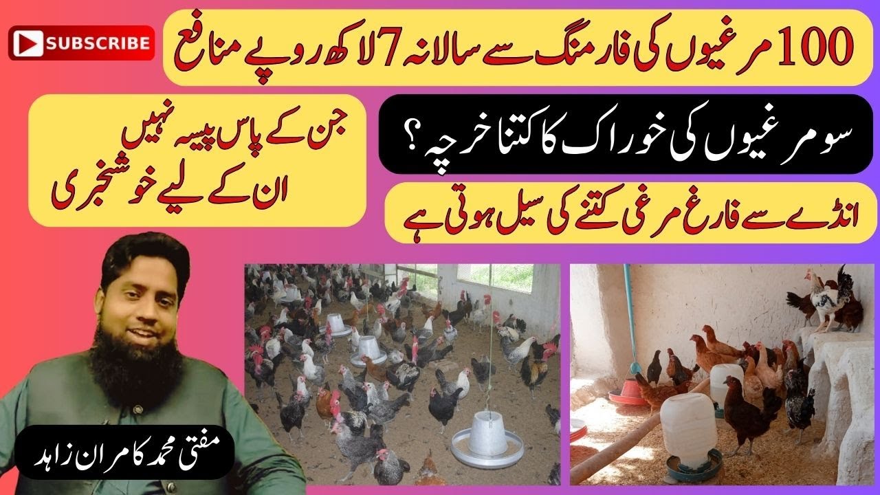 Hen Farming at home | Secrets of Profitable Hen Farming in Pakistanl ...