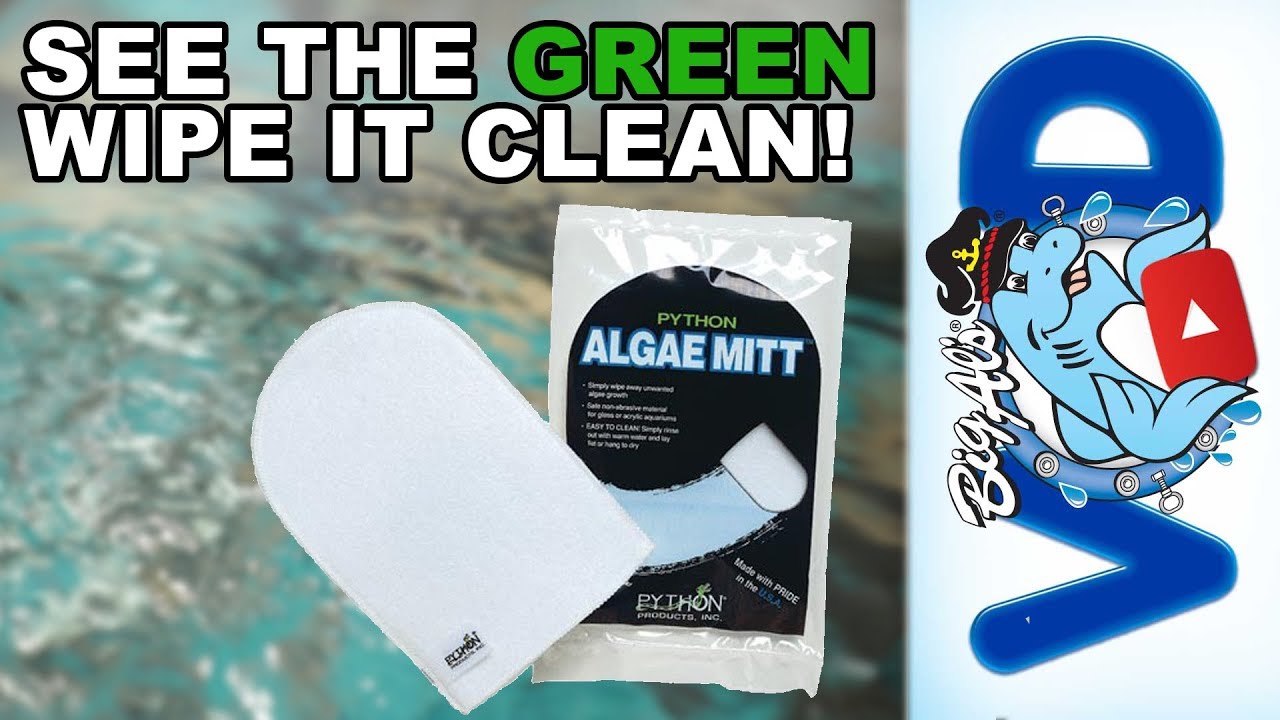 See the Green, Wipe it Clean! | BigAlsPets.com - YouTube