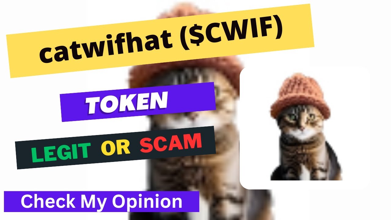 catwifhat (CWIF) Token is a Legit or Scam | Is CWIF token Legit or Scam ...