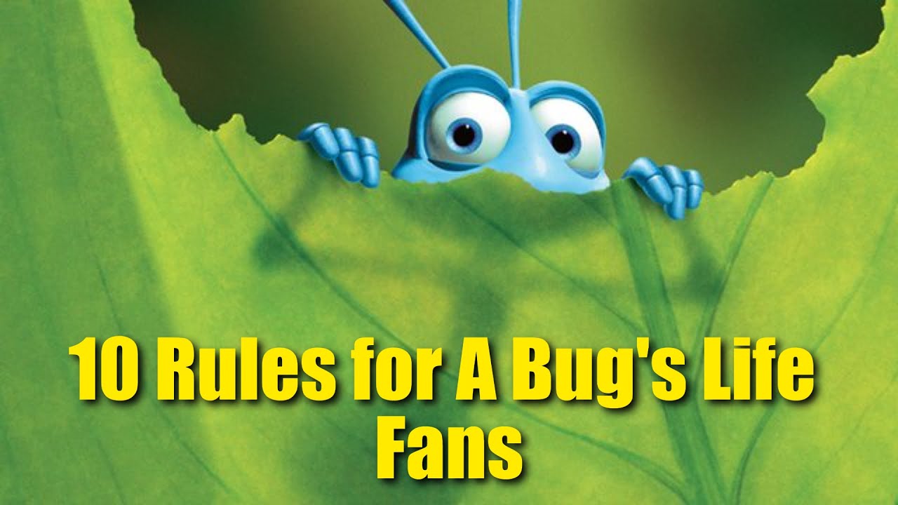 A Bug's Life Just One Ant - 10 Rules for A Bug's Life Fans - YouTube
