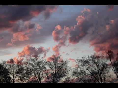 ventose - hepsi sanki ordalar