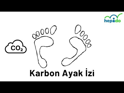 Karbon Ayak İzi ve Sera Gazları