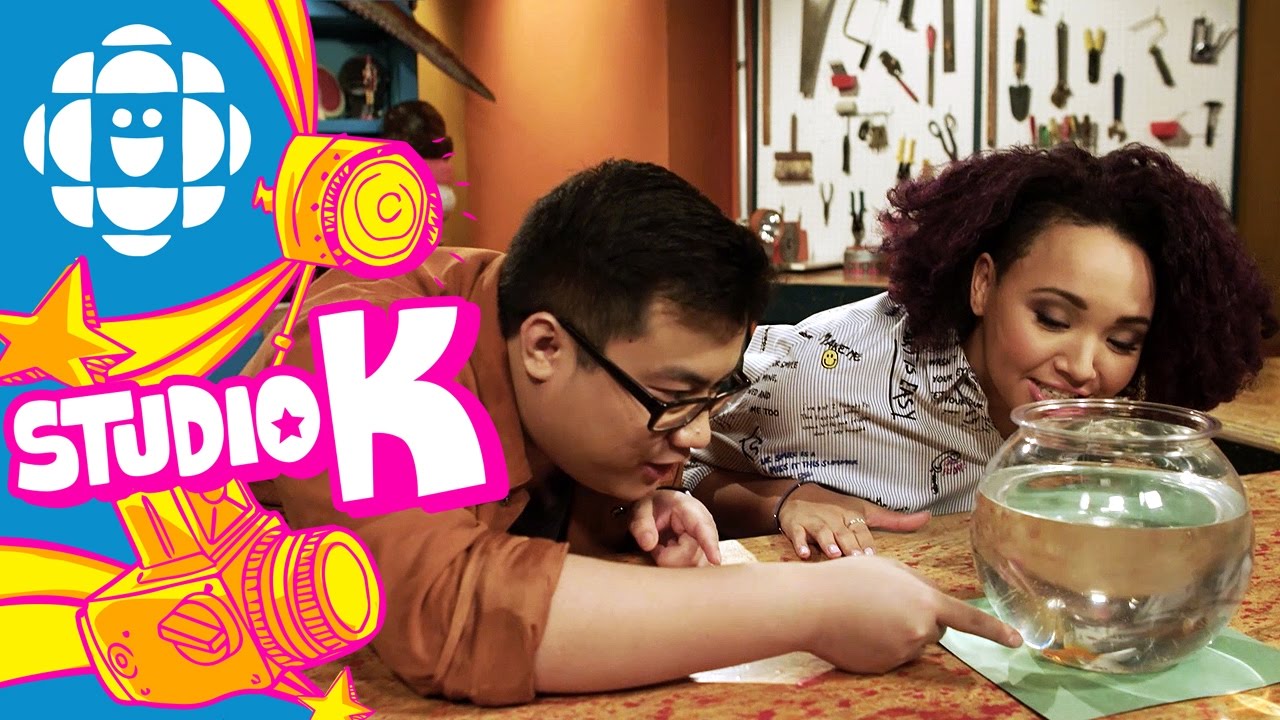 Studio K | Tony's Fish | CBC Kids - YouTube