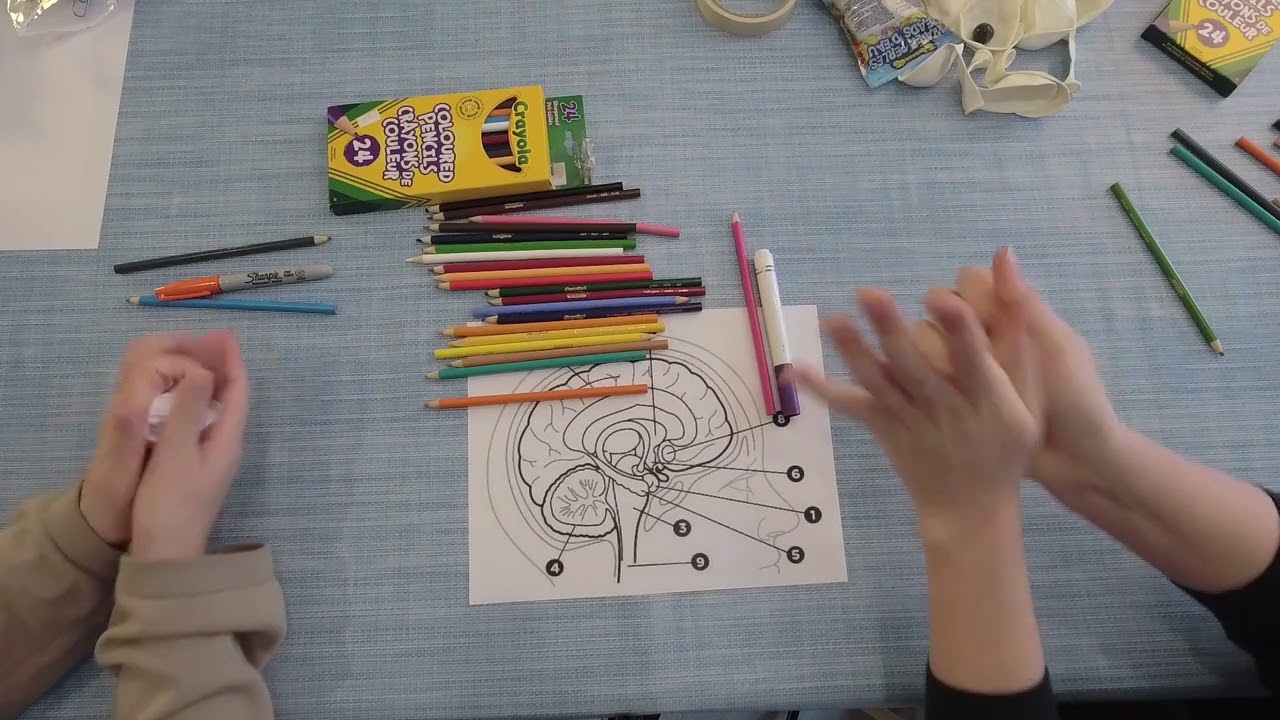 Activity: Brain Squiggle - YouTube