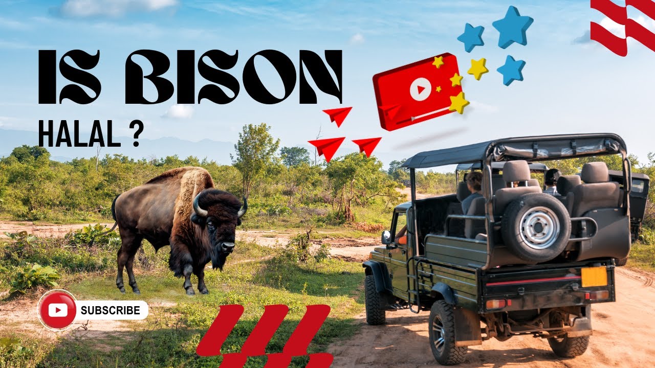 Is Bison Halal - YouTube