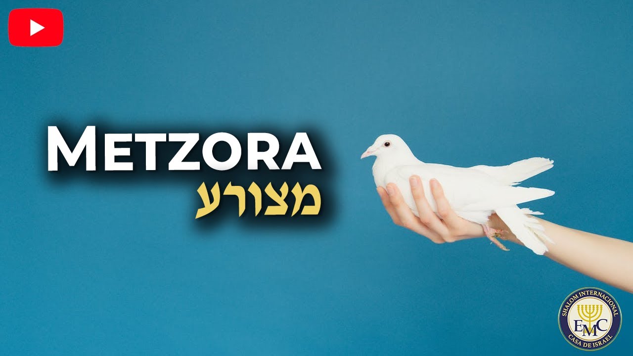 📜 Curiosidades de la parashah - METZORA #28 - YouTube