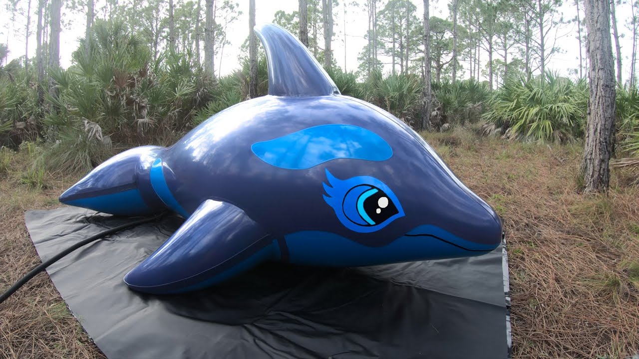Blue Whale Ride-On Pool Toy Made of Latex Rubber from Latex Catfish ...