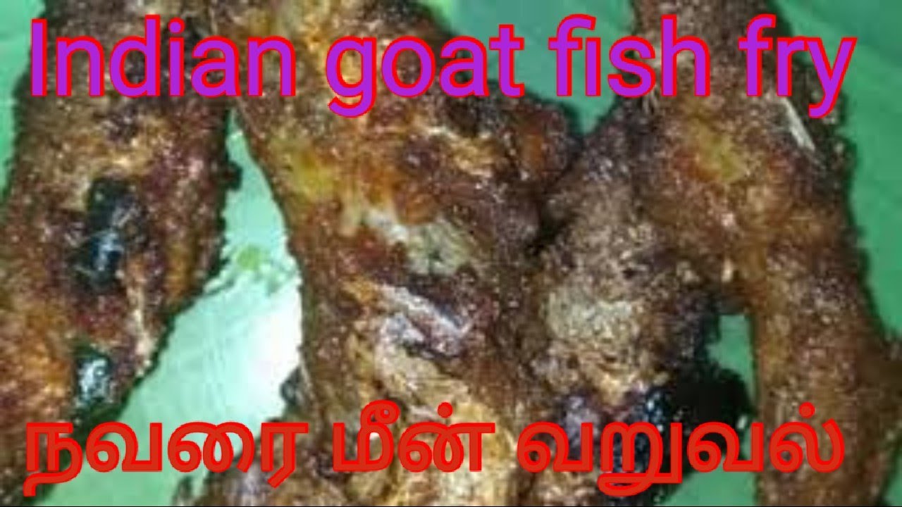 Navarai meen varuval in tamil/Indian goat fish fry recipe/Fish fry ...