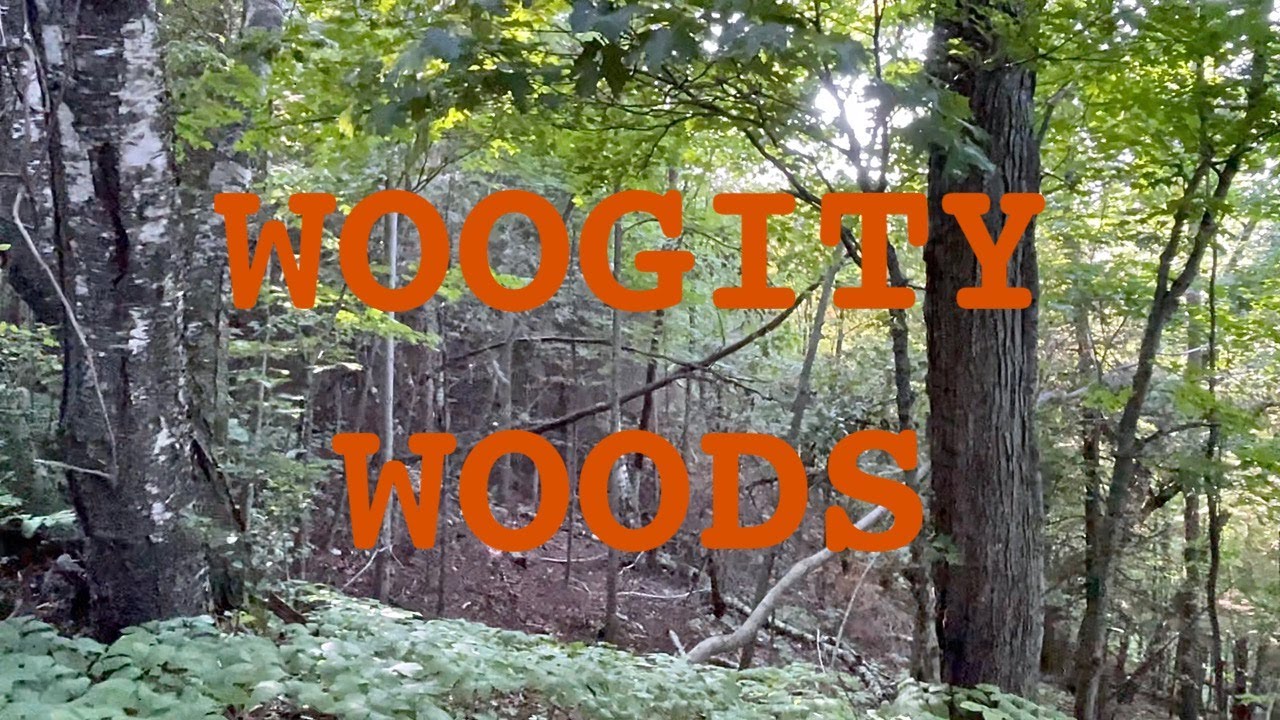 Woogity Woods #bigfoot #paranormal #cryptids - YouTube