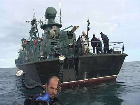 Sualtı səltənətimiz (elmi-kütləvi film, 2008)