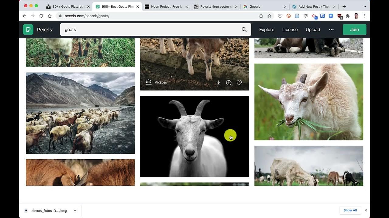 Find Free or Creative Commons Licensed Images for your Blog Posts - YouTube