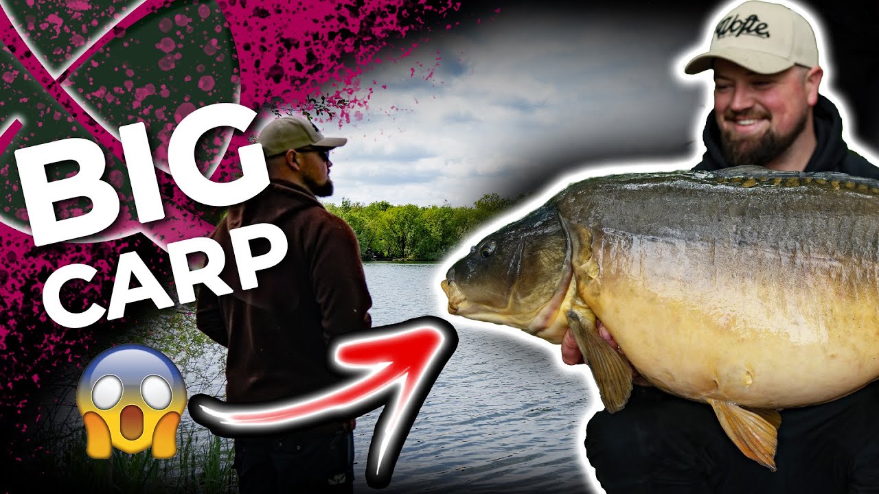 CATCH BIG CARP CONSISTENTLY! 🤔 🐋 - YouTube