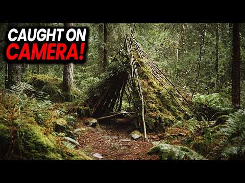 9 Bigfoot Encounters That Turned Camping Trips Into Nightmares - Compilation!
