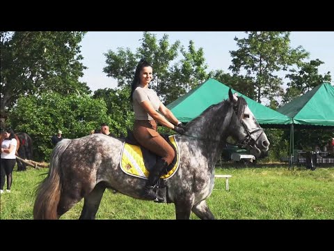 Sexy Girls Riding Horses
