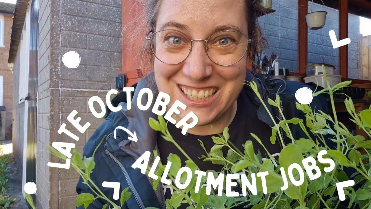 Late October | Autumn allotment jobs | Allotment gardening UK 2024 ...