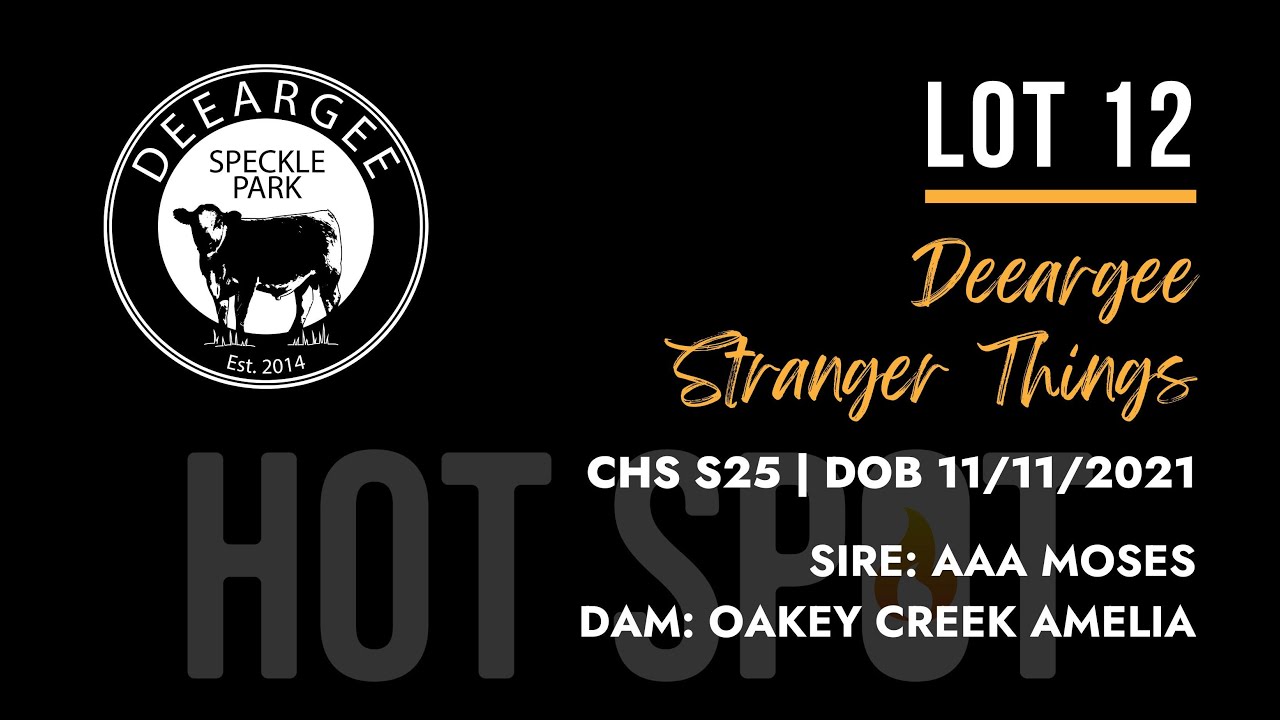 LOT 12 Deeargee Stranger Things S25 - YouTube