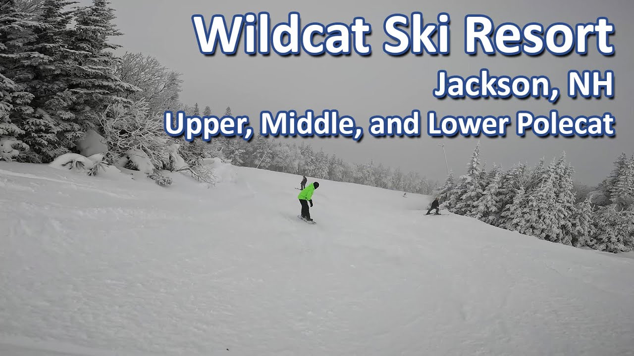 First time skiing Wildcat Mountain, NH - YouTube
