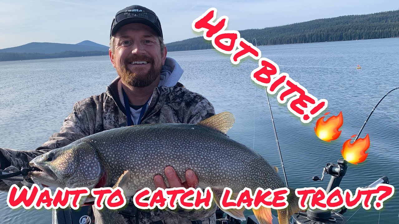 Trolling for Lake Trout, Odell Opener 2024. Big Mackinaw, on the best ...