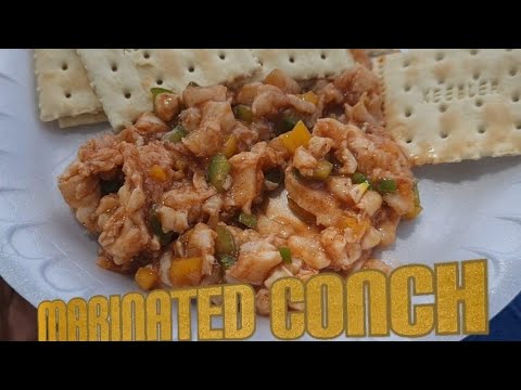 How to prepare Marinated conch, FT Captain Clinton. - YouTube