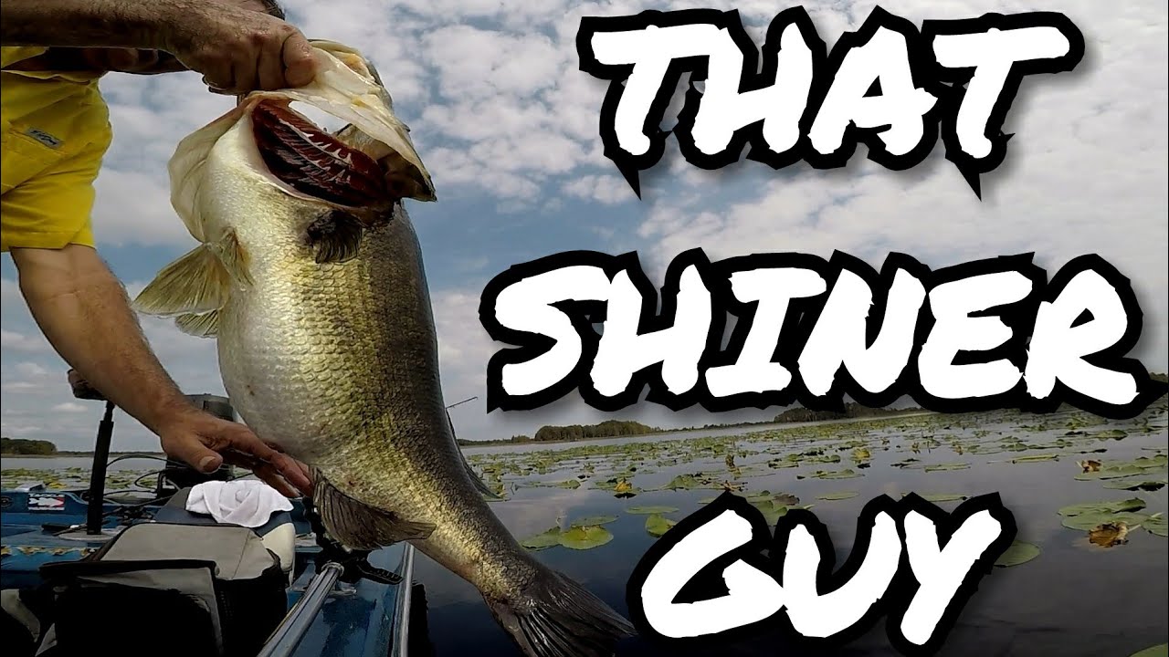 Channel Intro/That Shiner Guy Greatest Hits - YouTube