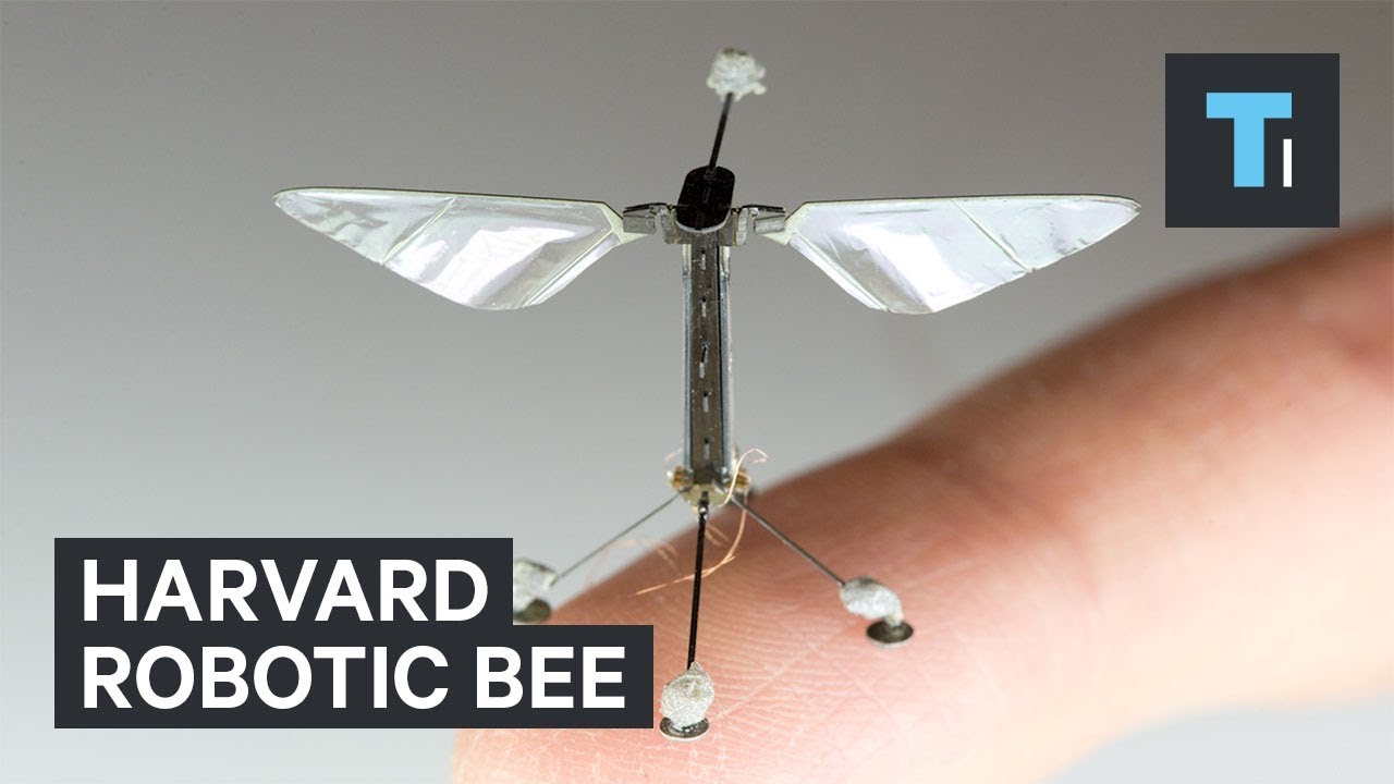 Harvard University is creating robotic insects to monitor the ...