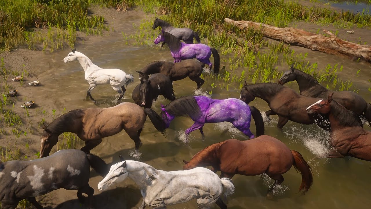 RDR 2 | ARTHUR BEST HORSE TAMER | NEW ASTRA HORSE CAUGHT - YouTube